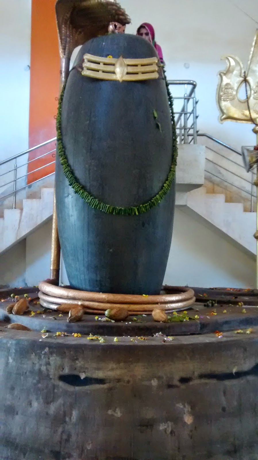 REFORM INDIA: My trip to Amarkantak